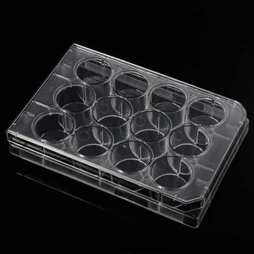 Cell Culture Plate, Biologix - 6-, 24- and 96-wells available - LabMal