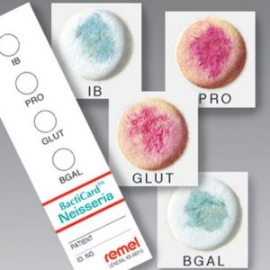 Biochemical and Immunological Assays for Microbiology Archives - LabMal