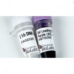 1 kb Plus DNA Ladder, NEB - LabMal