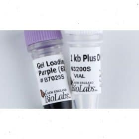 1 kb Plus DNA Ladder, NEB - LabMal