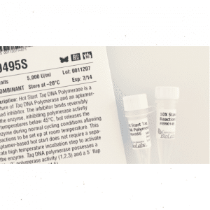 Hot Start Taq DNA Polymerase - LabMal