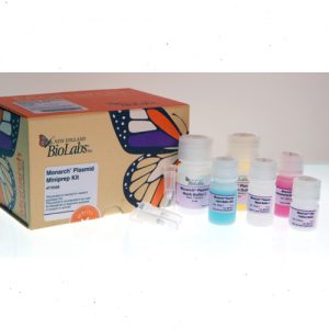 Monarch DNA Gel Extraction Kit, NEB - LabMal