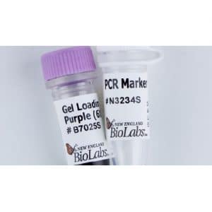 1 kb DNA Ladder, NEB - LabMal