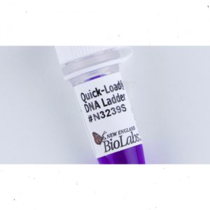 Quick-Load 1 kb Extend DNA Ladder - 125 gel lanes - LabMal