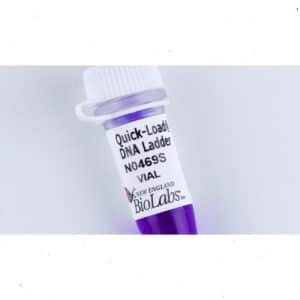 Quick-Load 1kb Plus DNA Ladder - 250 gel lanes - LabMal