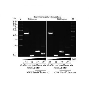 OneTaq Hot Start Quick-Load 2X Master Mix with GC Buffer - LabMal