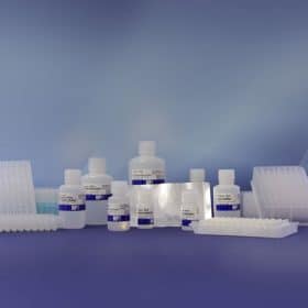 FastDNA™ Spin Kit for Soil - MP Biomedicals - LabMal