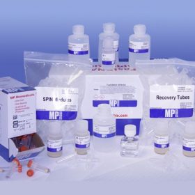FastDNA™ Spin Kit, 100 preps - MP Biomedicals - LabMal