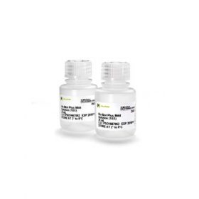 ReBlot Plus Antibody Stripping Solution, 10x - LabMal