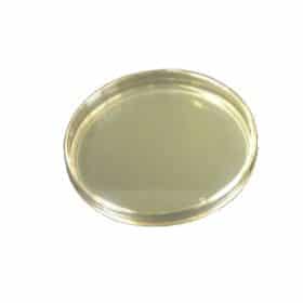 Nutrient Agar and Nutrient Broth: Composition, Preparation & Differences