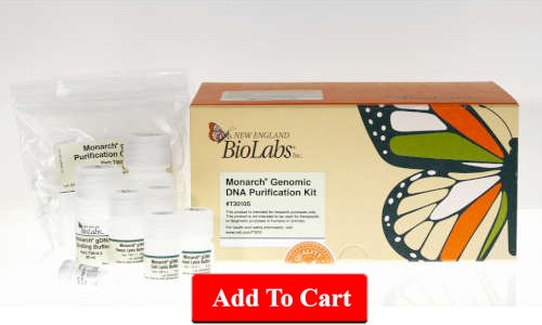 Nucleic Acid Purification Kits for DNA and RNA | LabMal Academy