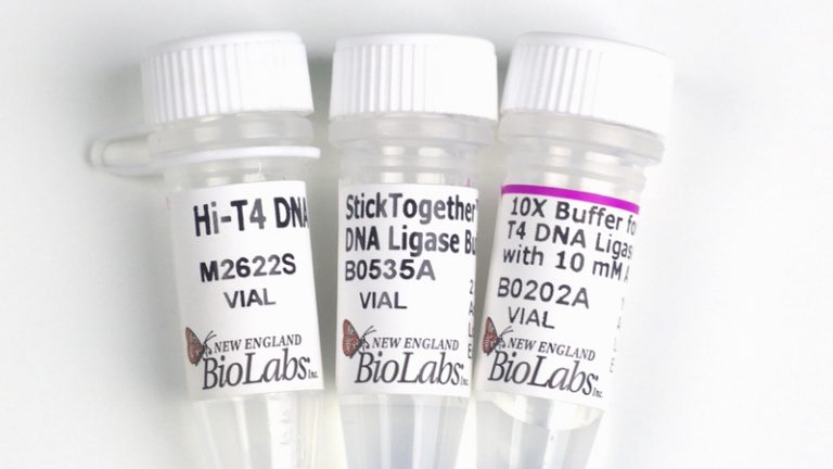 Monarch® HMW DNA Extraction Kit for Tissue - LabMal