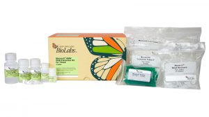 Monarch® HMW DNA Extraction Kit for Tissue - LabMal