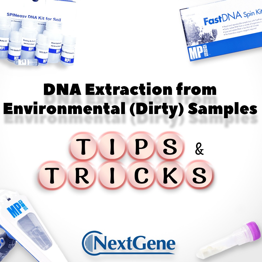 6 Tips for Good DNA Extraction from Environmental Samples - LabMal