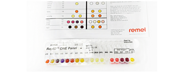 Thermo Scientific™ RapID™ System - Bacterial Identification System - LabMal