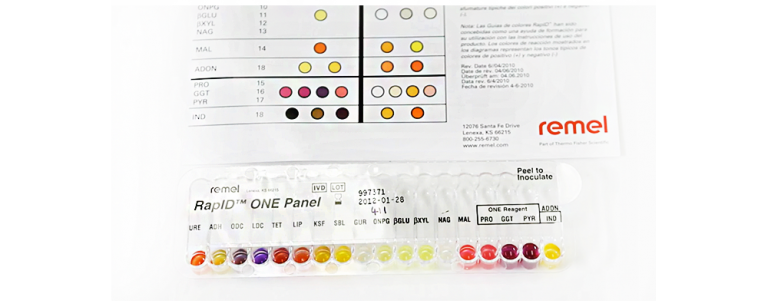 Thermo Scientific™ RapID™ System - Bacterial Identification System - LabMal