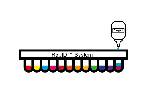 Thermo Scientific™ RapID™ System - Bacterial Identification System - LabMal